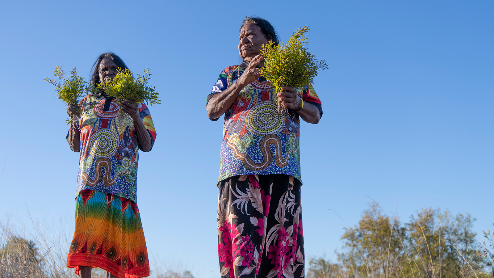 Indigenous Peoples